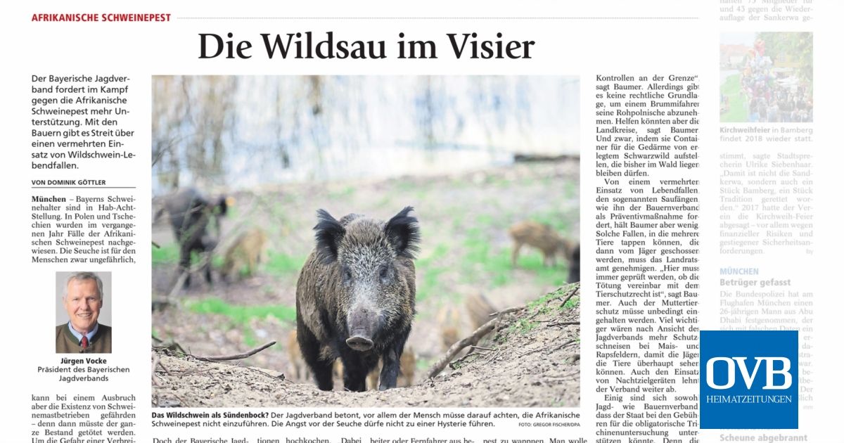 Die Wildsau im Visier - OVB Heimatzeitungen