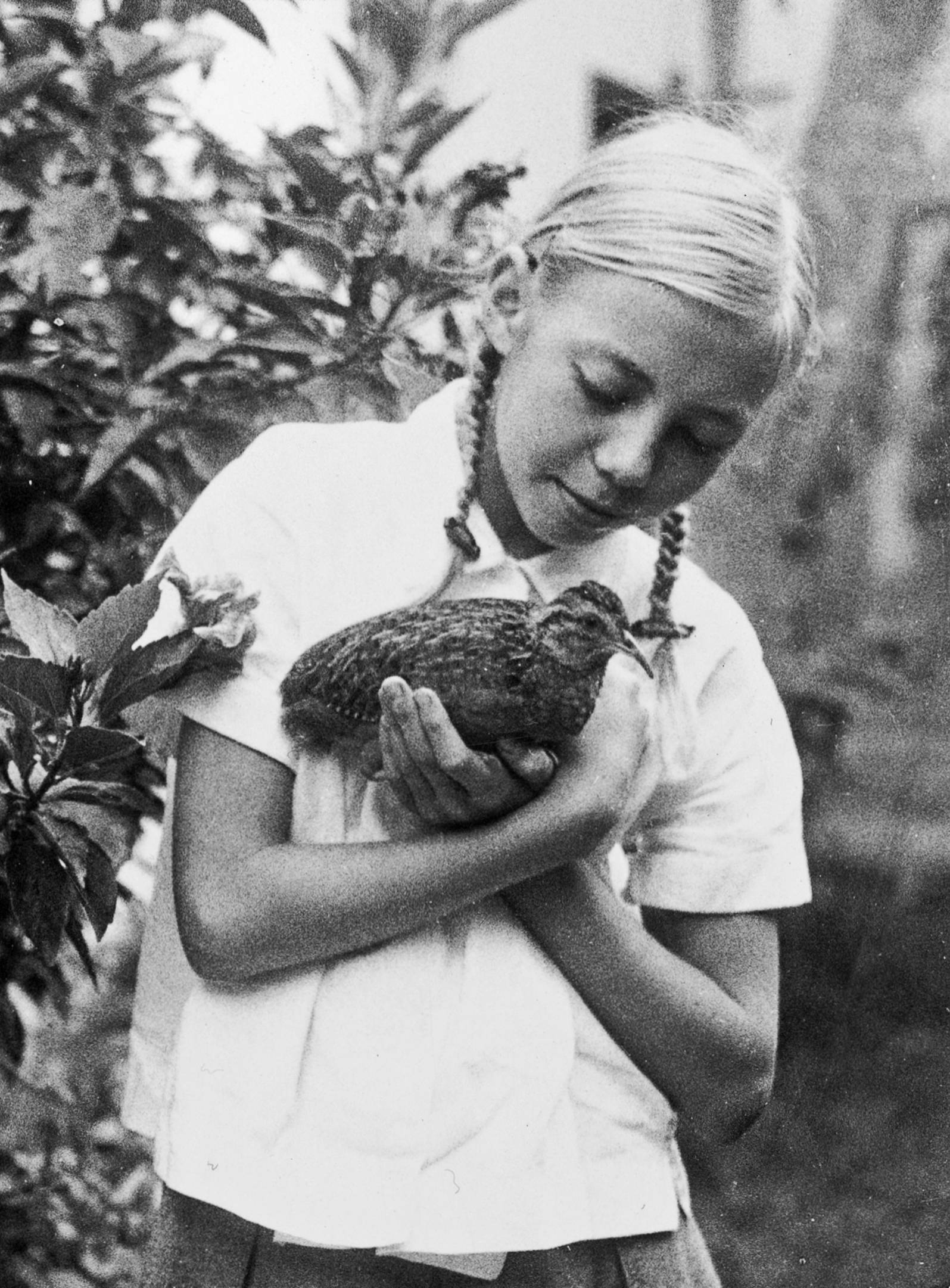 OVB Heimatzeitungen | Der Dschungel rettete ihr Leben