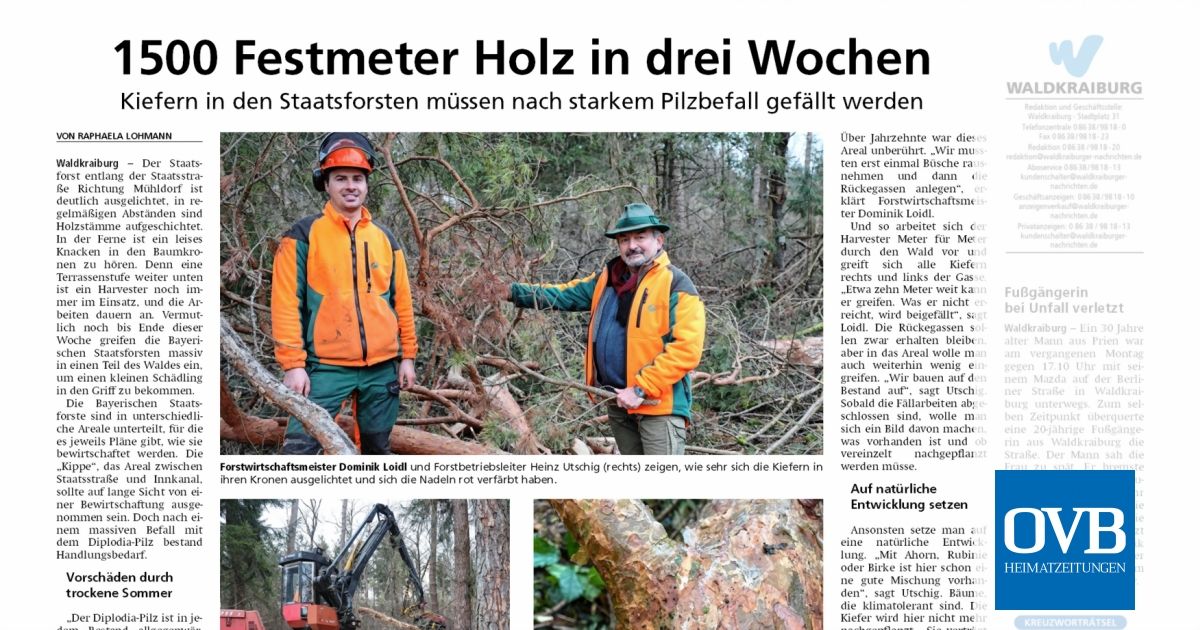 1500 Festmeter Holz in drei Wochen - OVB Heimatzeitungen
