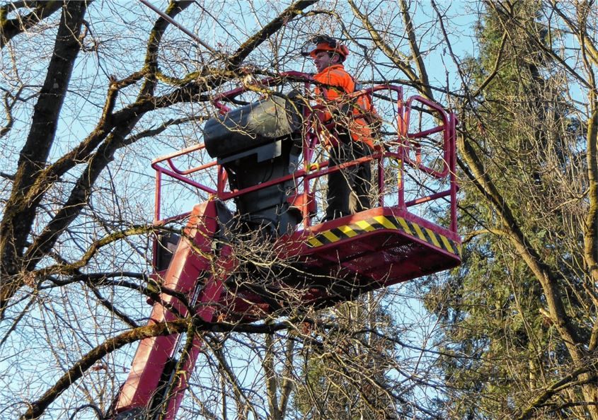 OVB Heimatzeitungen | Ackern in luftiger Höhe