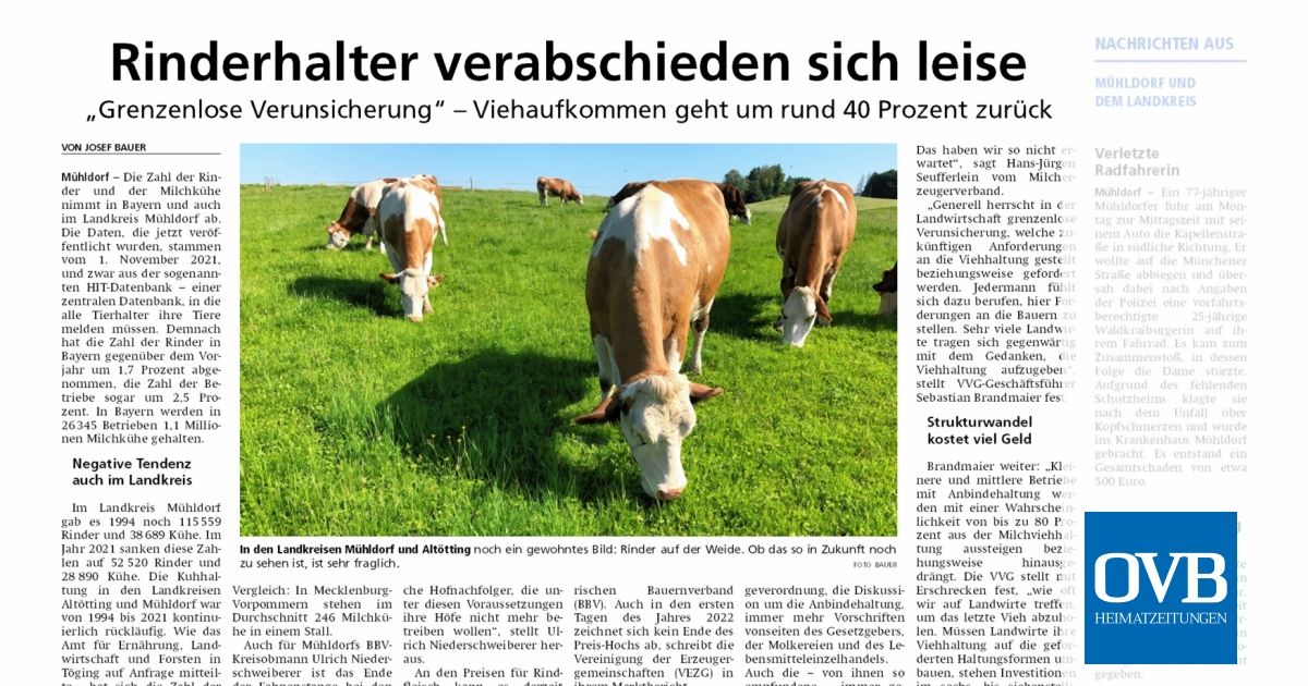 Rinderhalter verabschieden sich leise - OVB Heimatzeitungen