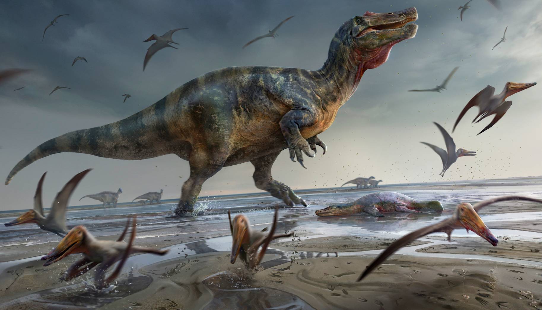 OVB Heimatzeitungen | Größter Saurier auf Insel entdeckt