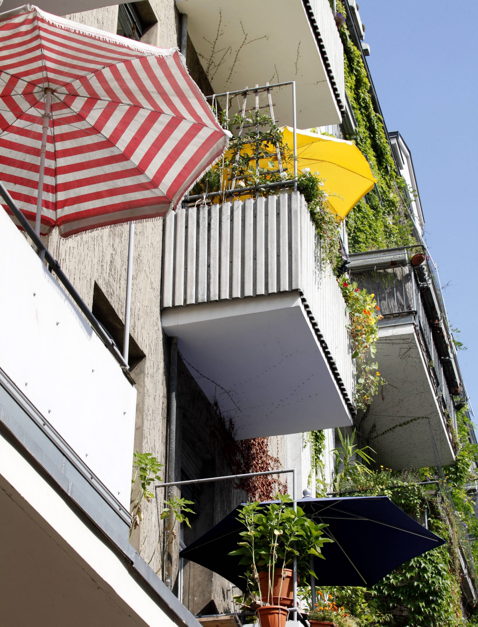 OVB Heimatzeitungen | Die Regeln auf dem Balkon