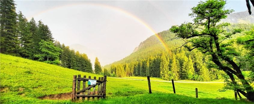 OVB Heimatzeitungen | Der Schatz am Ende des Regenbogens