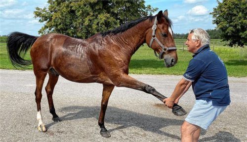 OVB Heimatzeitungen | Vom Olympiasieger zum Pferdeflüsterer