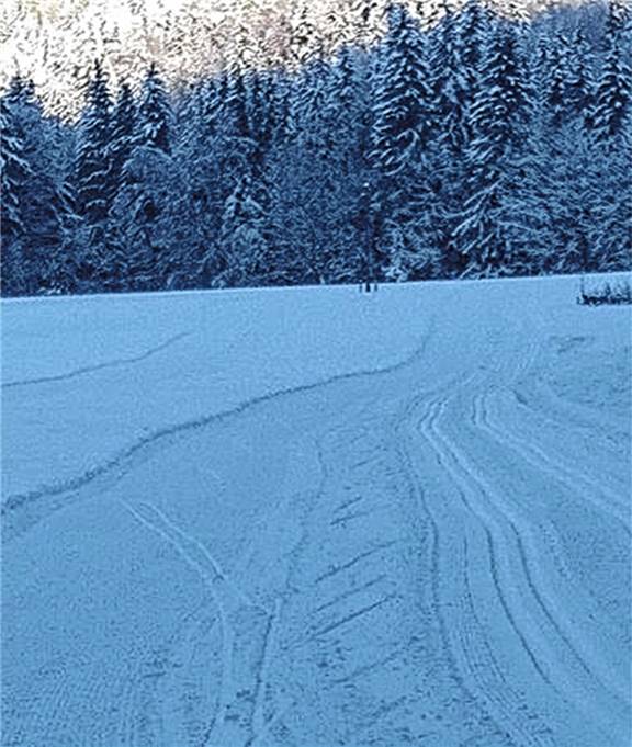OVB Heimatzeitungen | Loipe ist gespurt