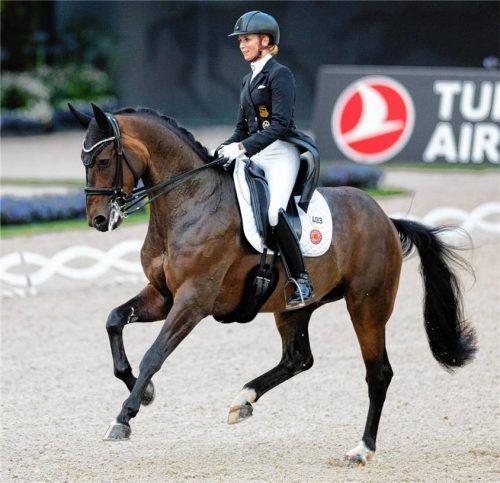 OVB Heimatzeitungen | Verdacht auf Bornavirus als Todesursache