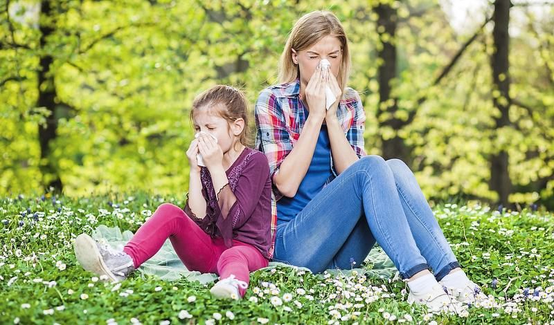 OVB Heimatzeitungen | Pollen-Alarm: Immer mehr Allergiker!