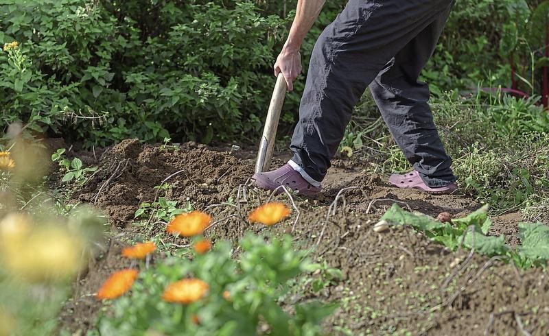 OVB Heimatzeitungen | Garteln ist gut für Leib und Seele